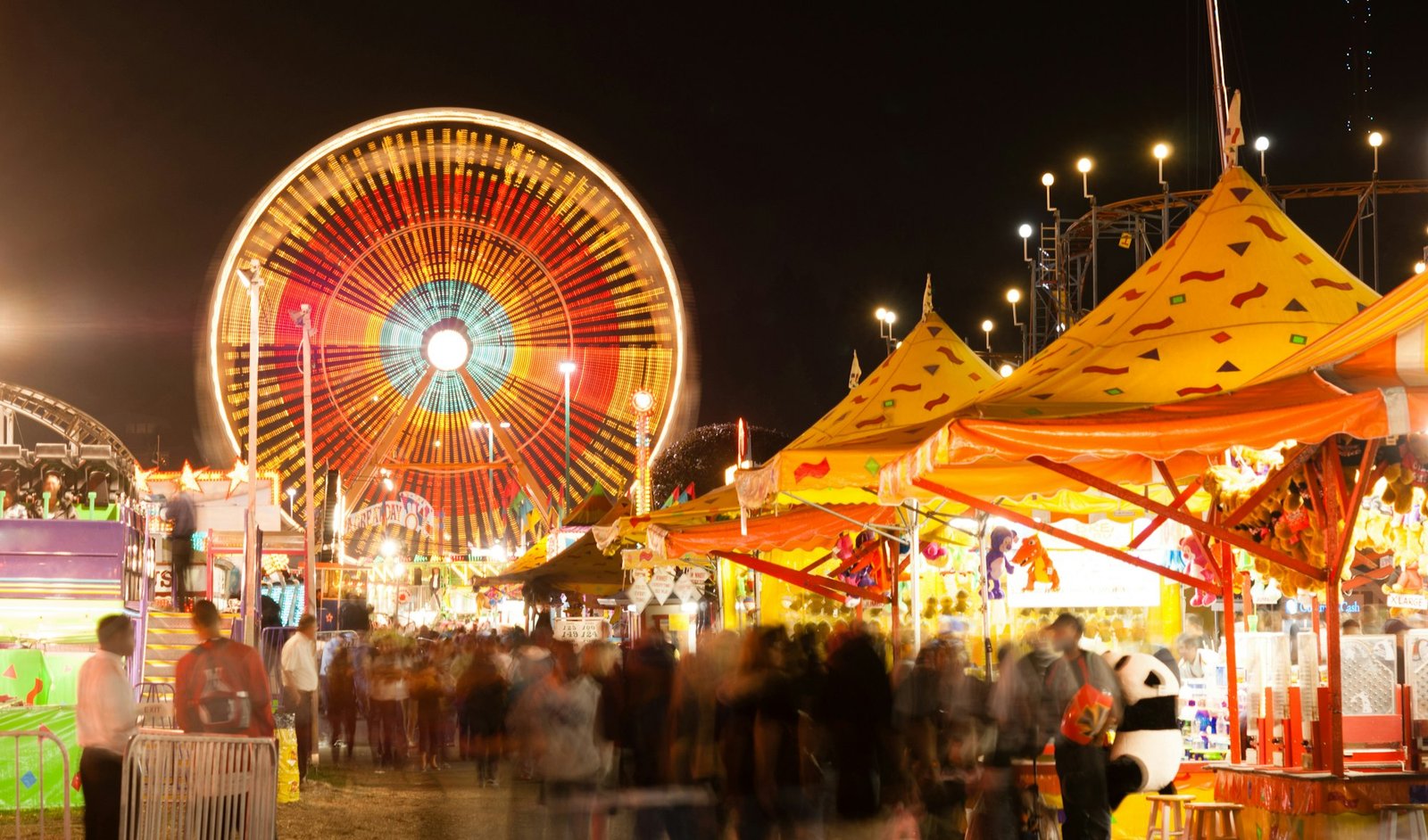 A Day at the Carnival